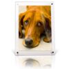 A2 Acrylic Frame - Get Acrylic Photo Frames